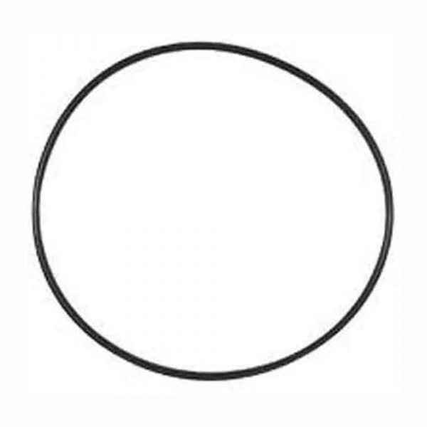 Hurlcon Pool Pump O-Ring – Just Pools and Spas