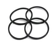 Paramount PV3 Nozzel O Ring – Pk of 4 – Just Pools and Spas