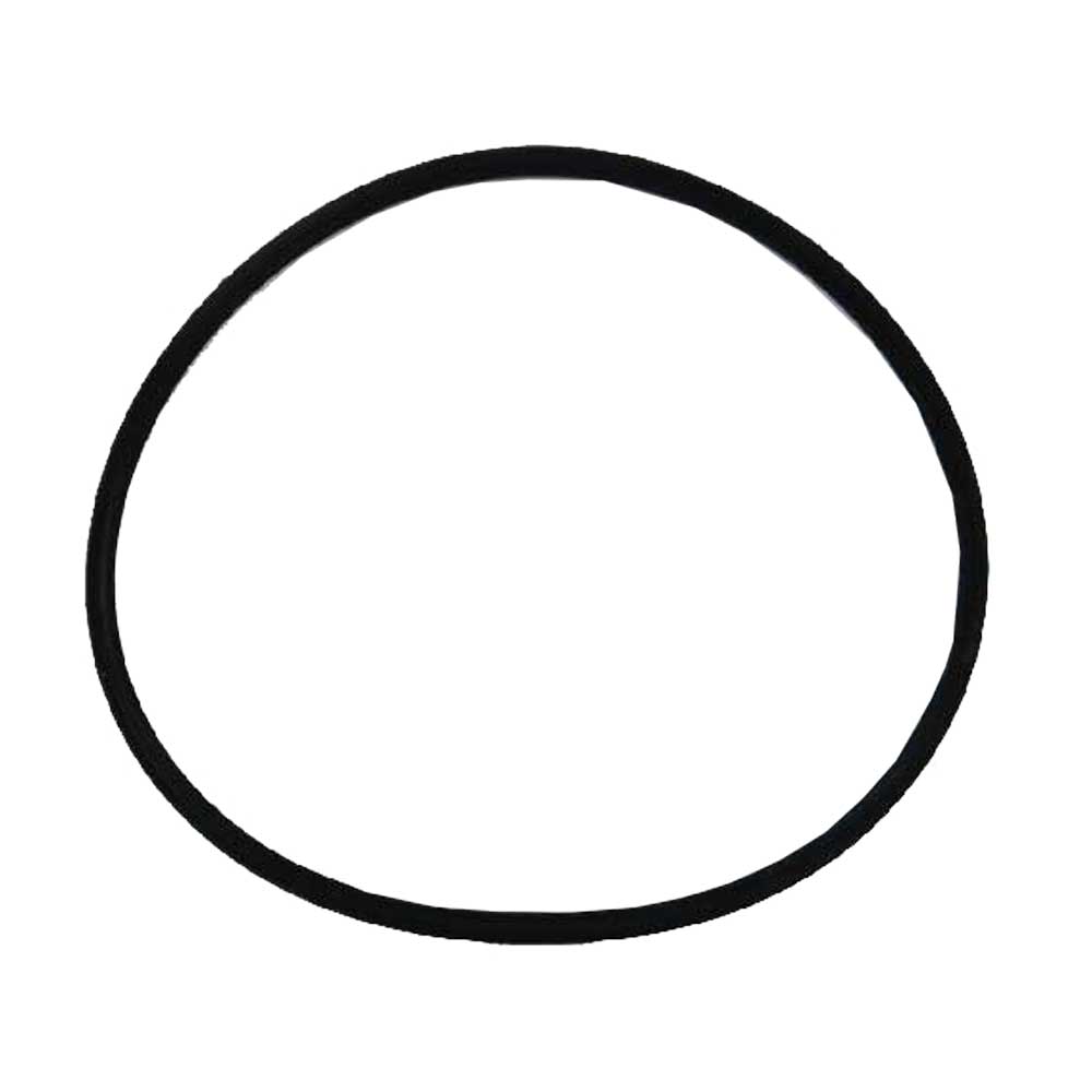 Davey Monarch EcoPure Cartridge Filter Lid Lock Ring – Just Pools and Spas