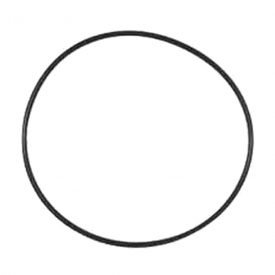 Hayward Swim Clear Cartridge Filter Head O’Ring – Just Pools and Spas