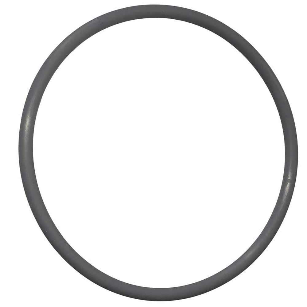 Typhoon T Series Davey Pool Pump Lid O-Ring – Just Pools and Spas