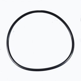 Waterco SM Micron Sand Filter Side Mount 6″ Clear Lid O’Ring – Just ...