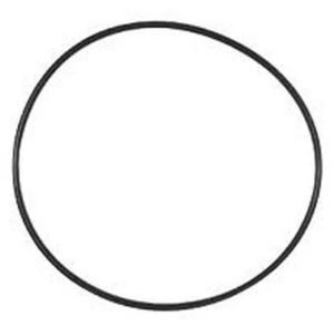 Neptune CF Cartridge Filter Lid O-Ring – Just Pools and Spas