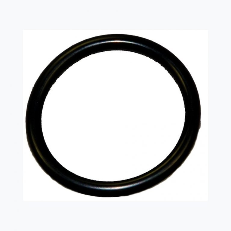 Zodiac Tri PH & ORP Probe Sensor O-Ring – Just Pools and Spas