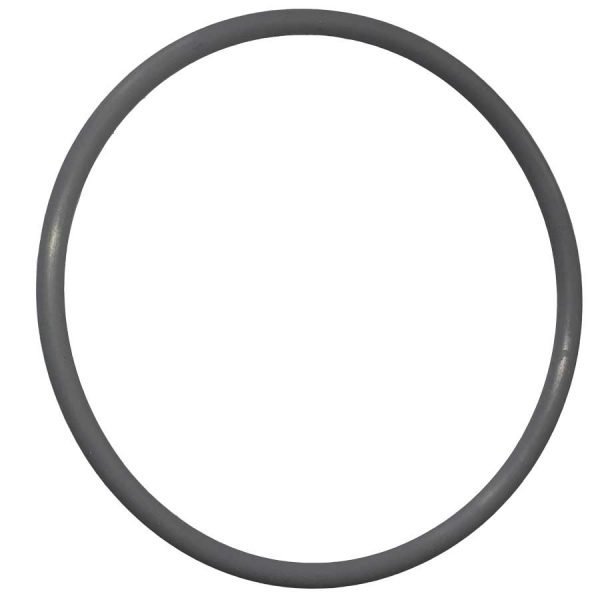 Davey Sand Filter Centre Pipe O-Ring – Just Pools and Spas