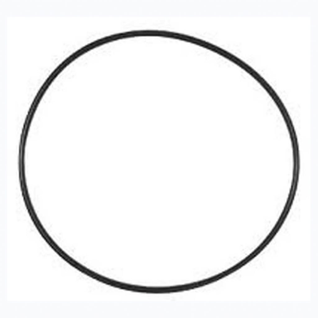 Davey Tagelus 230 & 150 Sand Filter 40mm Multiport Valve Body O-Ring ...