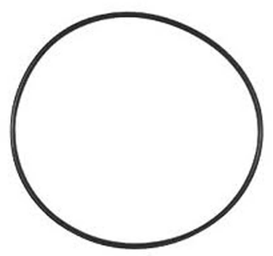 Onga Pantera P Series Swimming Pool Tank O-Ring – Just Pools and Spas