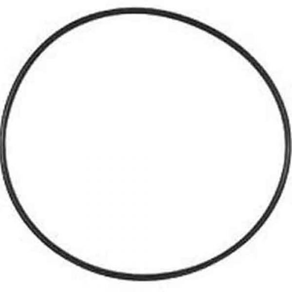 Paramount In-Floor Pool Cleaning System Rigid Debris Canister Basket or ...