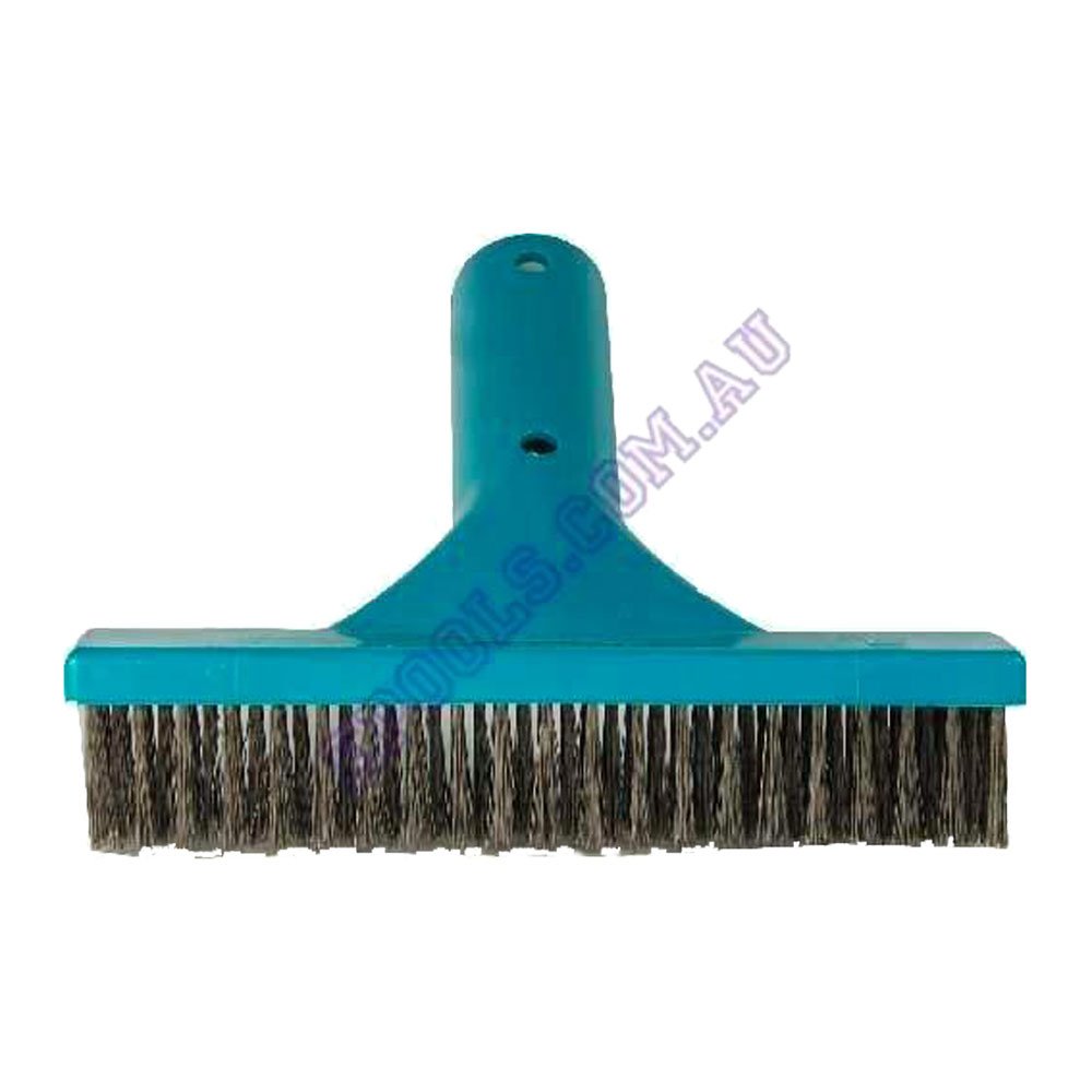 Swimming Pool 25cm Stainless Steel Algae Brush – Just Pools and Spas