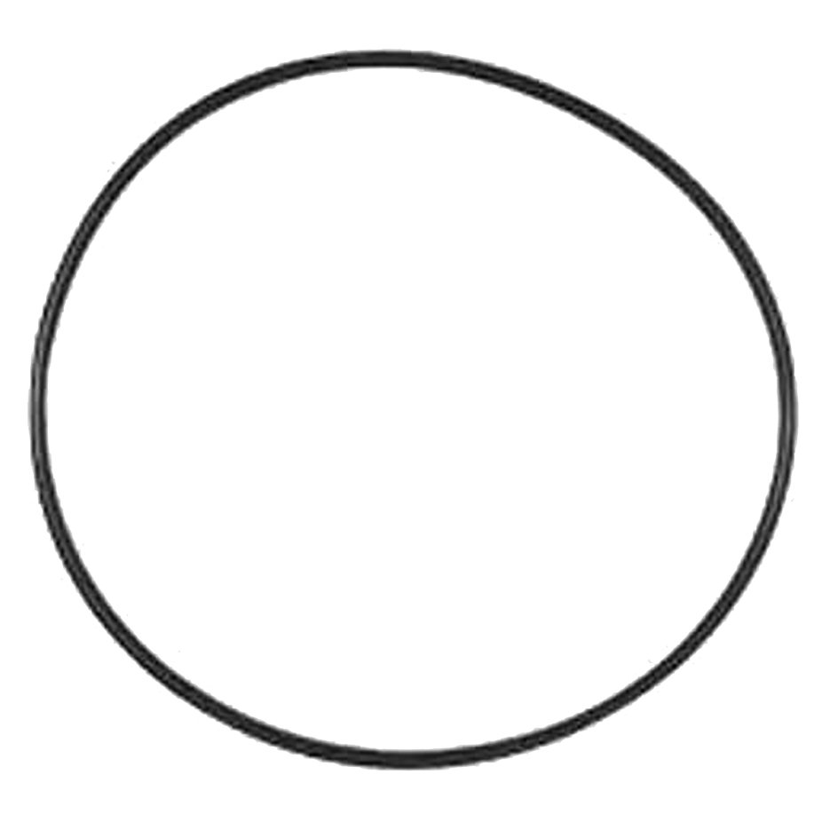 Poolrite XL DE Filter Lid O Ring – Just Pools and Spas