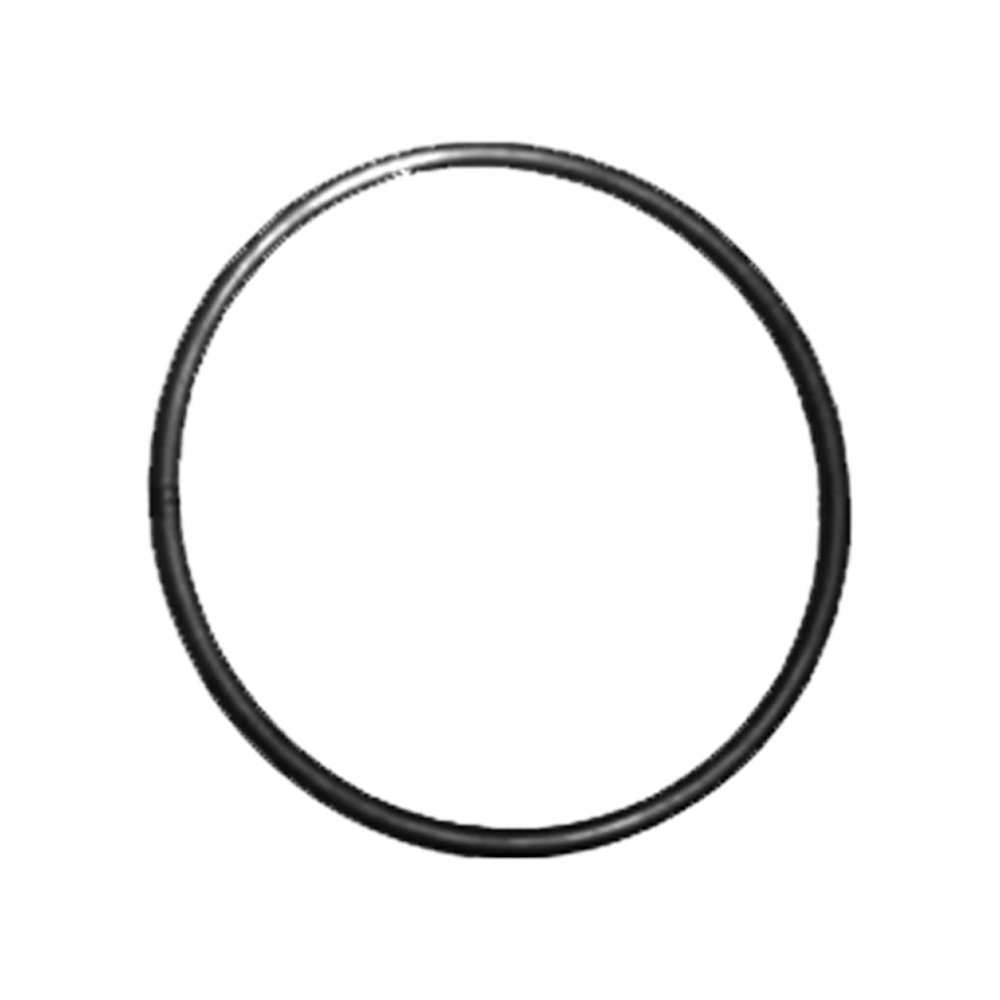 Pool Pro CPP/CPPS Chlorinator Salt Cell Housing O’Ring – Just Pools and Spas