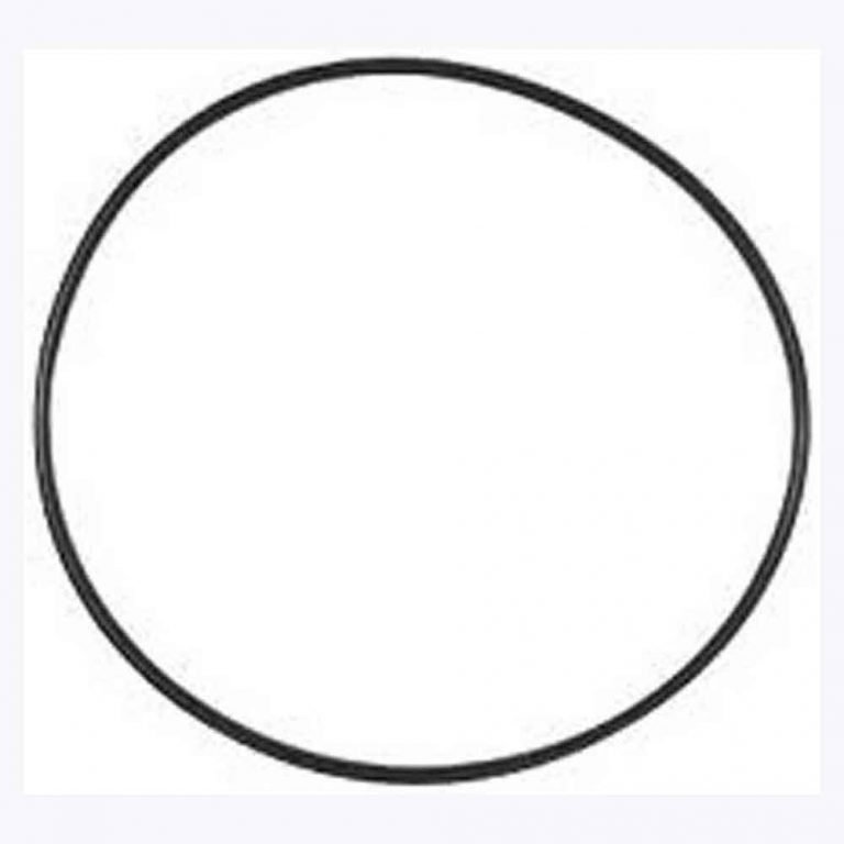 Neptune CF Series Lid Cartridge Filter – Just Pools and Spas