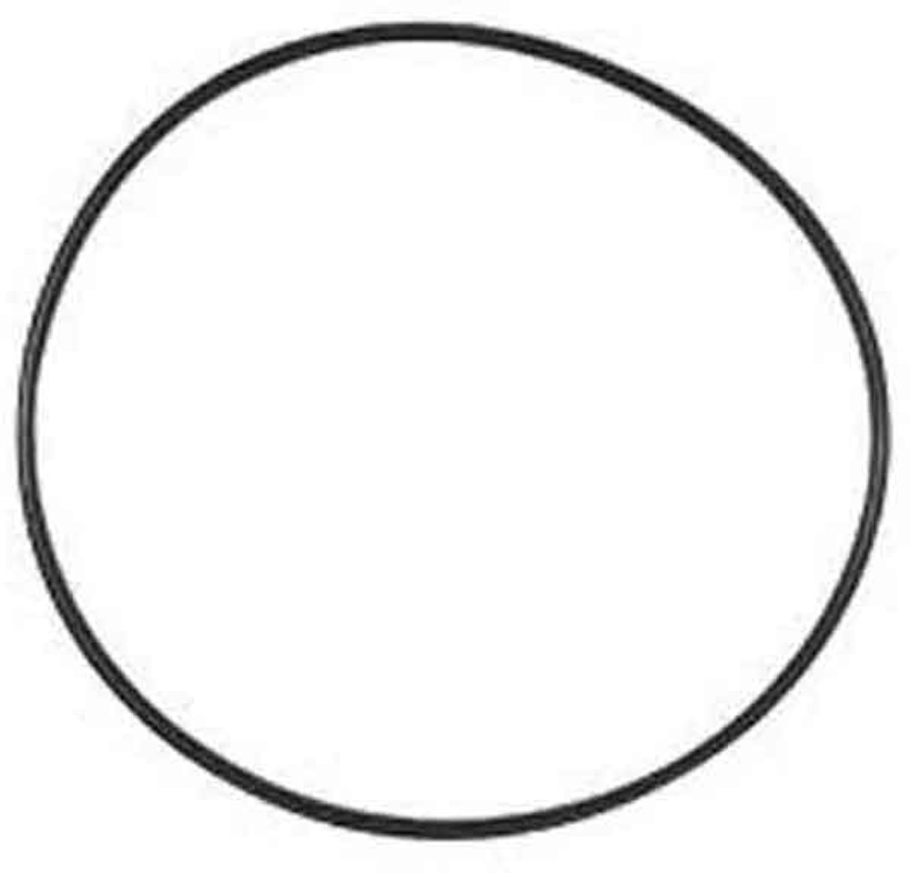 Neptune Sand Filter 40mm Valve To Tank O’Ring – Just Pools and Spas