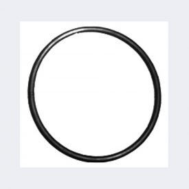 Pool Pro CPP/CPPS Chlorinator Salt Cell Housing O’Ring – Just Pools and Spas