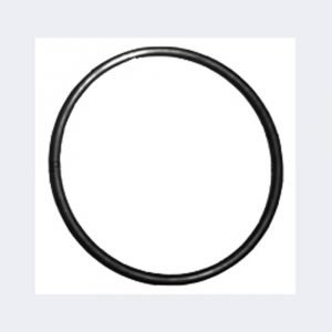 Pool Pro CPP/CPPS Chlorinator Salt Cell Housing O’Ring – Just Pools and Spas