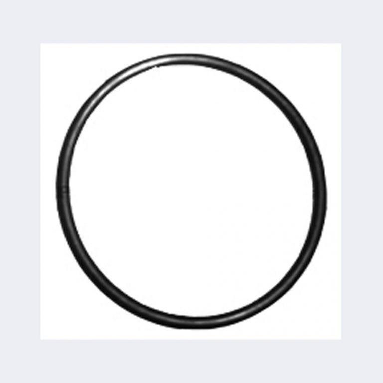 Pool Pro CPP/CPPS Chlorinator Salt Cell Housing O’Ring – Just Pools and Spas