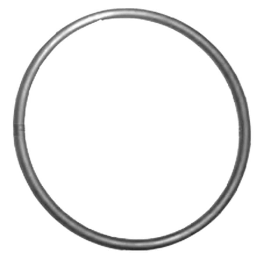 Poolrite CL Series Filter Lid O Ring – Just Pools and Spas