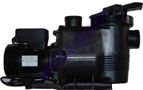 Waterco Hydrostorm Plus 250 Pool Pump One Phase – Just Pools & Spas